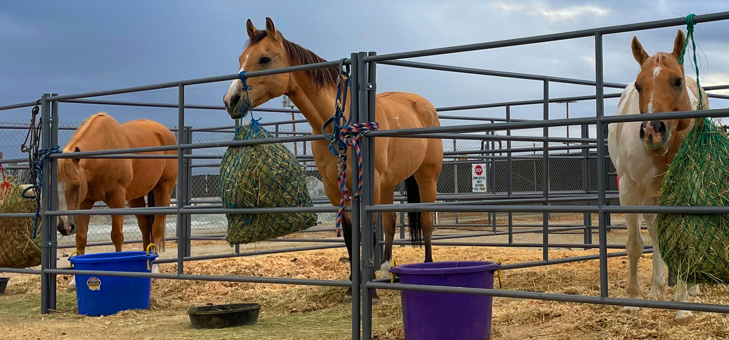Shipping Containers | For Sale New & Used | 10ft , 20ft ,40ft , 45ft ...